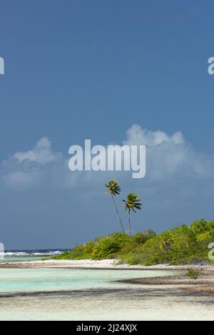 Tikehau, Tuamotu Archipelago, French Polynesia Stock Photo - Alamy