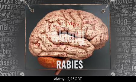 Rabies, word cloud concept on white background Stock Photo - Alamy