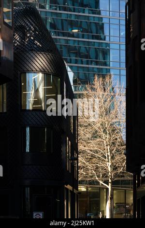 Buckingham Gate development, Victoria, Westminster, London, England ...