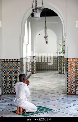 Eid prayer in the garden of the Paris Great Mosque, France Stock Photo ...