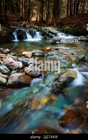 Small stream with waterfalls in the woods Stock Photo - Alamy