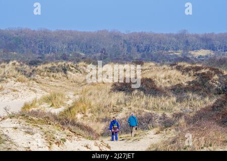 Sand Dune, De Panne, West Flanders, Belgium Stock Photo - Alamy