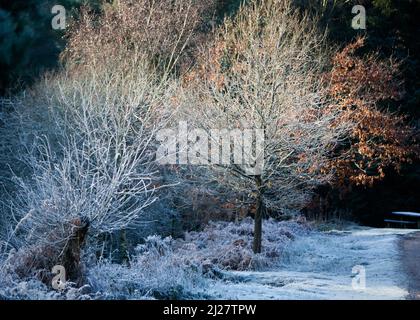 Beauty winter landscape with fair trees and river under the snow Stock ...