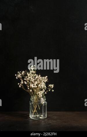 Beautiful twigs of dry gypsophile in a glass can on a dark concrete ...