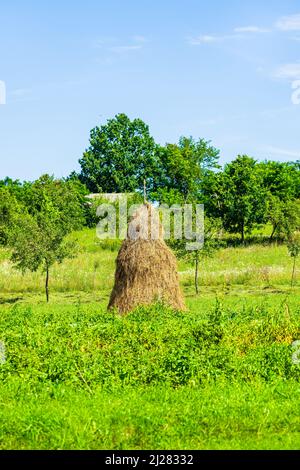 Traditional eastern european haystacks on field Stock Photo - Alamy