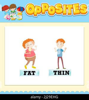 Opposite words for fat and thin illustration Stock Vector Image & Art ...