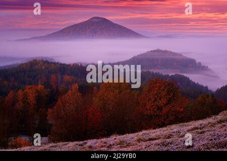 Czech typical autumn landscape. Hills and forest with foggy morning ...