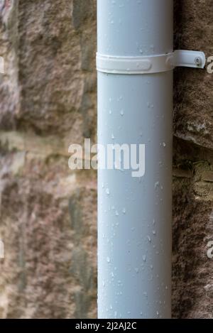 White unplasticized polyvinyl chloride uPVC downpipe (downspout) and ...