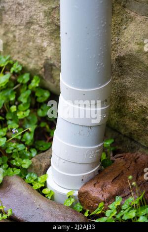 White unplasticized polyvinyl chloride uPVC downpipe (downspout) and ...