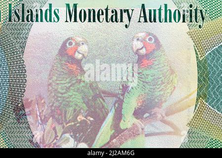 Cayman parrots from Cayman Islands money Stock Photo - Alamy