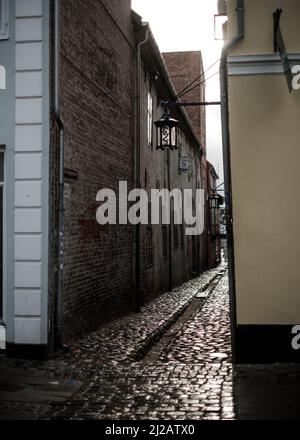 The city of Helsingor, Denmark located along the shoreline of the ...