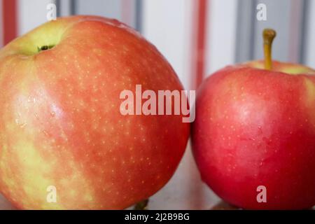Two ripe apples of the Ligol variety, a close-up shot Stock Photo - Alamy
