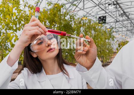 African american botanist holding syringe near cauliflower and ...