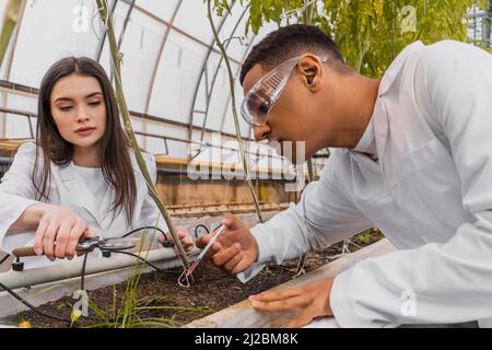 Botanist holding secateurs near african american colleague in goggles ...