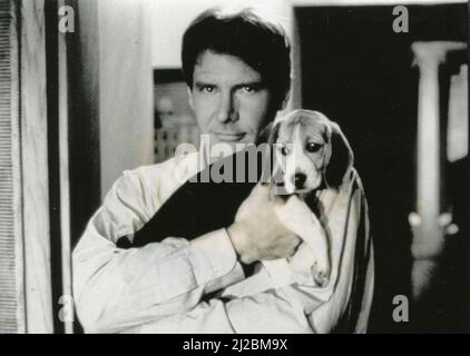 REGARDING HENRY (1991) HARRISON FORD RGH 034 Stock Photo - Alamy