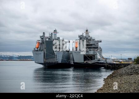 SS Cape Intrepid and Cape Island military roll on roll off transport ...