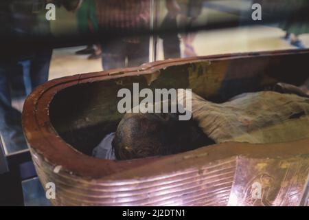 The Royal Mummy Room at the Egyptian Museum Stock Photo - Alamy