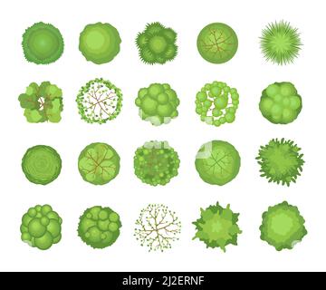 Top view tree. Planting green trees, park map vegetation and tropical ...