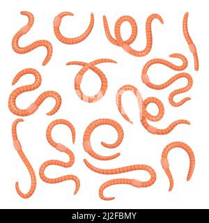 Cartoon worms, soil earthworms, garden ground insects. Cartoon vector ...