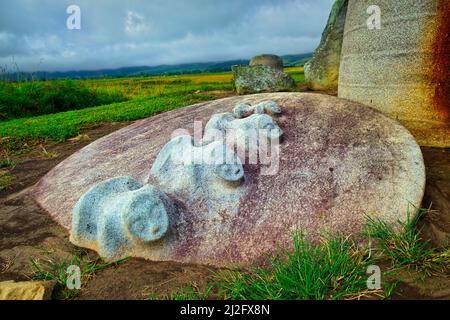 The caretaker of the Pokekea said that at this site, there were 8 ...