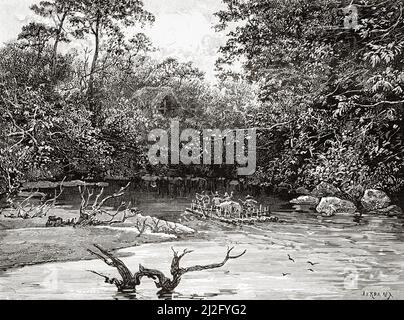 The Wenaiwika, Tsáse nái, Enaguas or Piapoco are an indigenous people ...