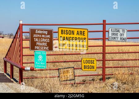 American bison, Bison bison, warning signs in the rain on an Oklahoma ...