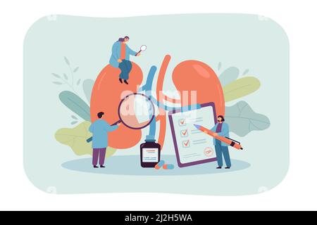 Doctors studying kidneys of donor at clinic. Medical persons checking ...