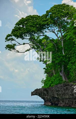 10 islands of West Kei kecil, islands around Kei islands https://goo.gl ...