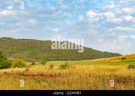 in the east of Georgia are the fertile plains of the provinces Stock ...
