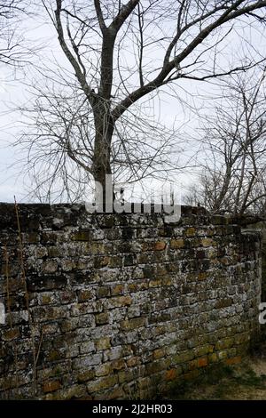 Abandoned WWII German blockhaus, Dune Marchand, Zuydcoote, Nord, Hauts ...
