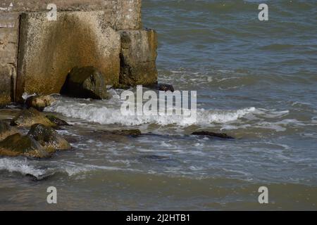 Sea serf of the Sea of Azov, the clay coast on a sunny day in summer ...