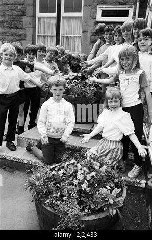 The Village, Newby, Yorkshire Stock Photo - Alamy