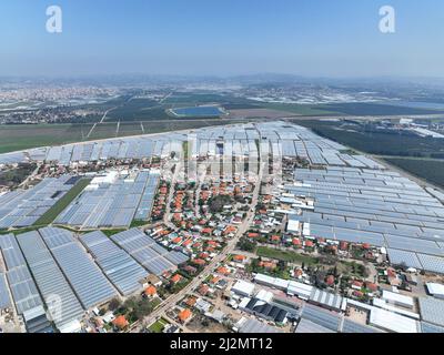 Greenhouse farming, vast land utilized for greenhouse agriculture ...