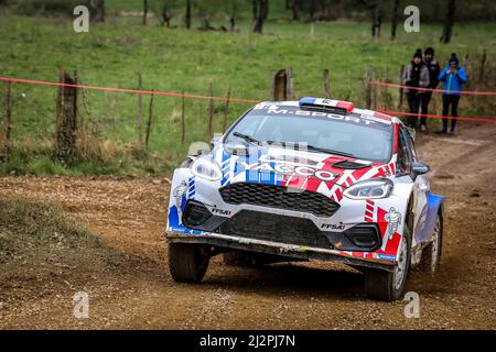 06 TODESCHINI Florent, BARRAL Florian, Ford Fiesta, action during the ...