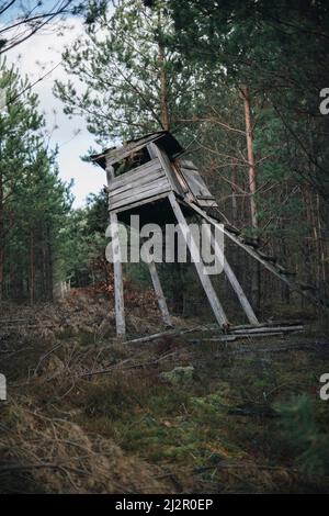old abandoned shooting pulpit inside of a forest Stock Photo - Alamy