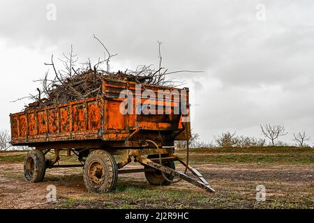 Old rusty trailer, full of firewood Stock Photo - Alamy