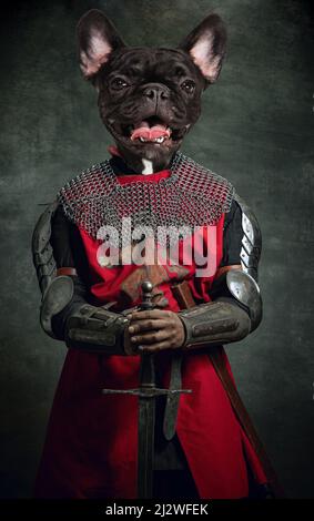 Surreal artwork with medieval knight, warrior with part of cat's face ...