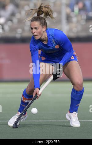 AMSTELVEEN - Pien Sanders of Holland hockey women during the FIH Pro ...