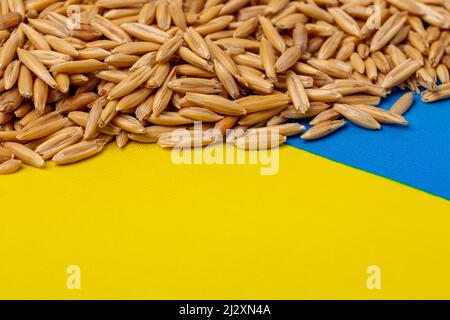 Ukraine flag and oats. Cereal grain exports, production and farming ...