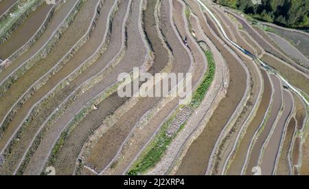 Aerial photo shows the scenery of terraced fields after snow in She ...