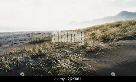 The beautiful wide-angle shot of Piha Beach at sunset, Auckland, New ...