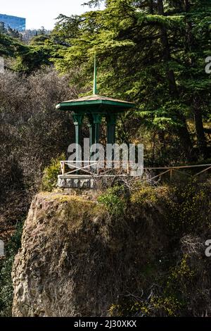 Spring in Tbilisi botanical garden, capital city of Georgia Stock Photo ...
