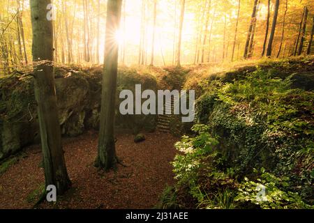 Mystical forest of Thuringia near Bad Liebenstein in Germany Stock ...
