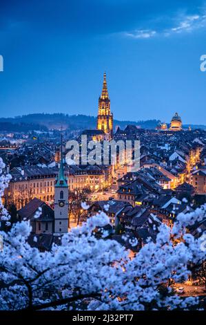 view from Rosengarten over the historic center of Bern during cherry ...