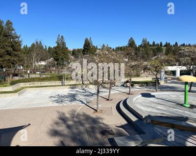 Aerial view of San Ramon Central Park, San Ramon, California, January ...