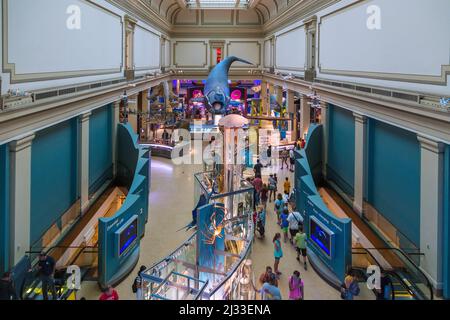 WASHINGTON DC — The Sant Ocean Hall at the Smithsonian National Museum ...