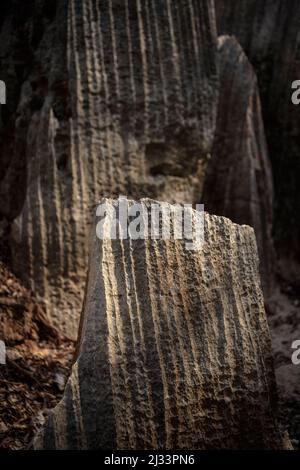 Detail of the sharp-edged karst landscape, Tsingy de Bemaraha National ...