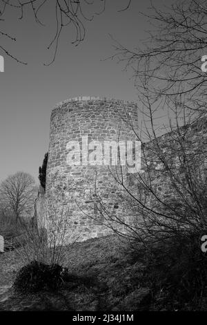 A grayscale view of an ancient fort wall Stock Photo - Alamy