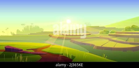 Rice field terraces, green paddy at sunset. Vector cartoon illustration ...