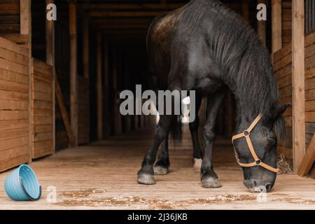 Hungry Black Male Looking At Empty Table Over Yellow Background Stock ...